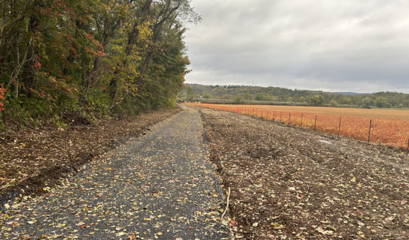 BEVT phase 5 construction to begin in fall | News, Sports, Jobs - The ...